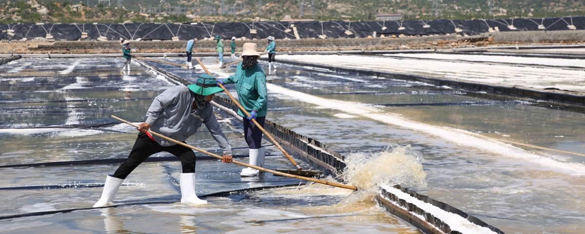 Agriculture and Food - BIM Group